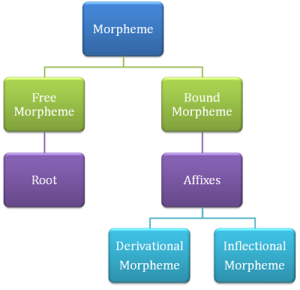 More about Morpheme Matrices: Lessons for Longer Word Assembly - ATLAS ABE