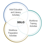 Libraries Single Set of Learning Objectives (SSLO) - ATLAS ABE